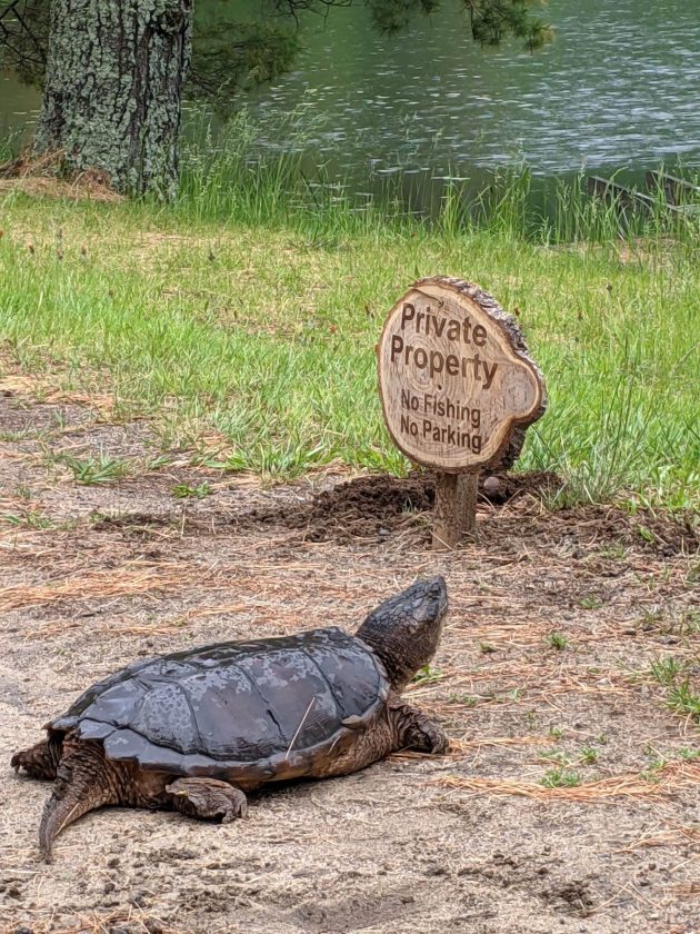 Seriously? | News, Sports, Jobs - Adirondack Daily Enterprise